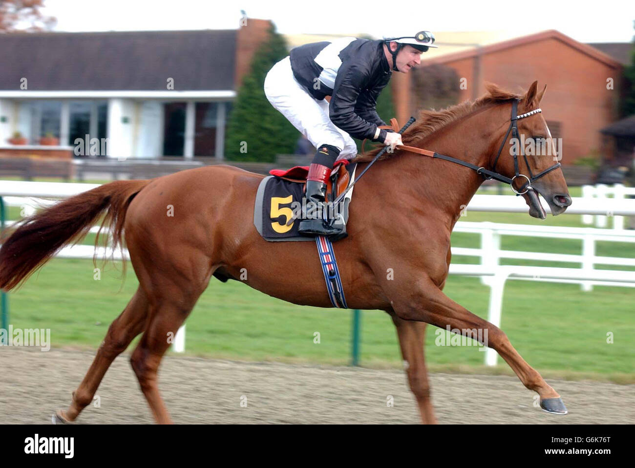 Steve drowne up hi-res stock photography and images - Alamy