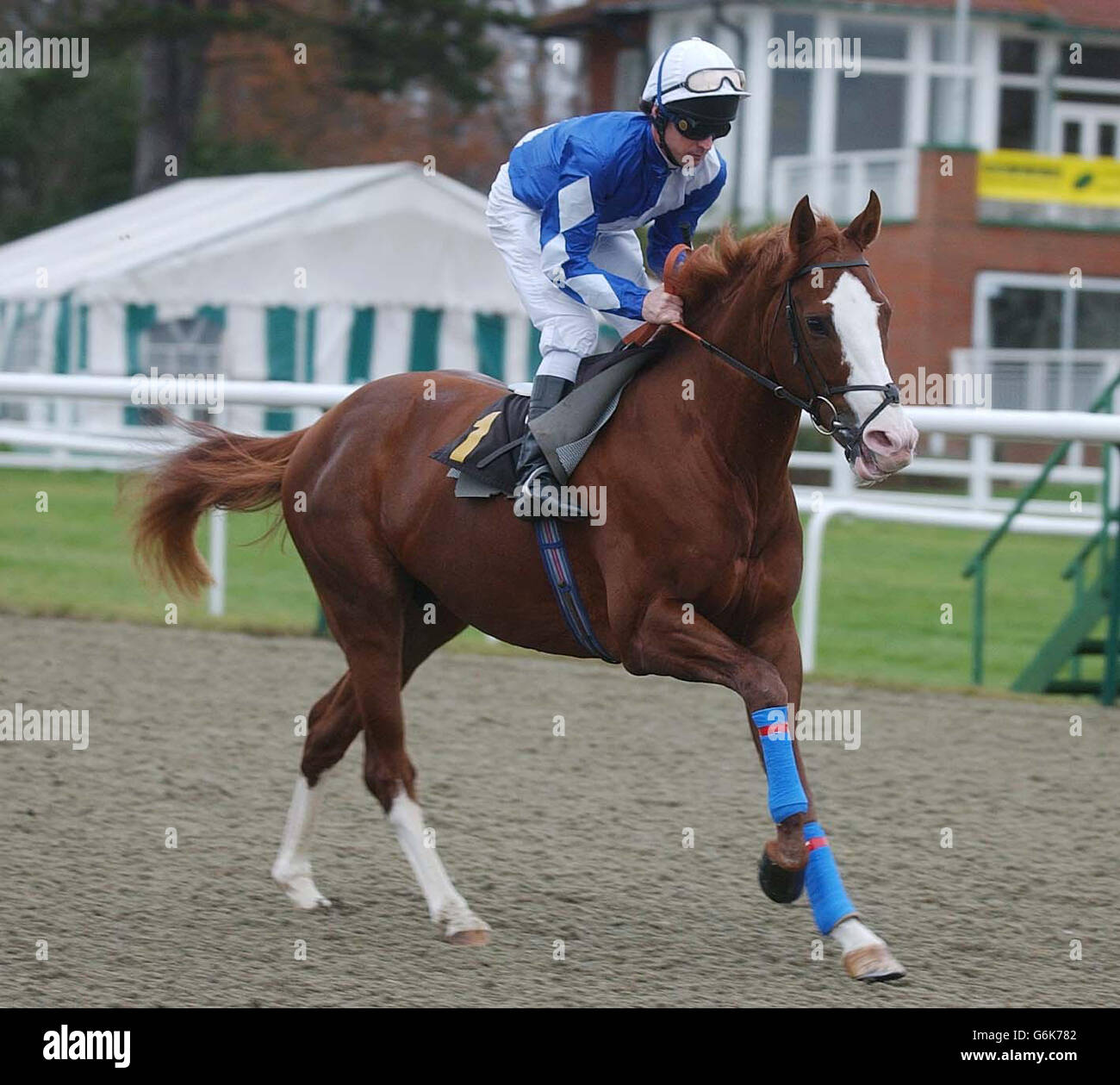 Arran with Jockey Mike Tebbutt on board Stock Photo - Alamy