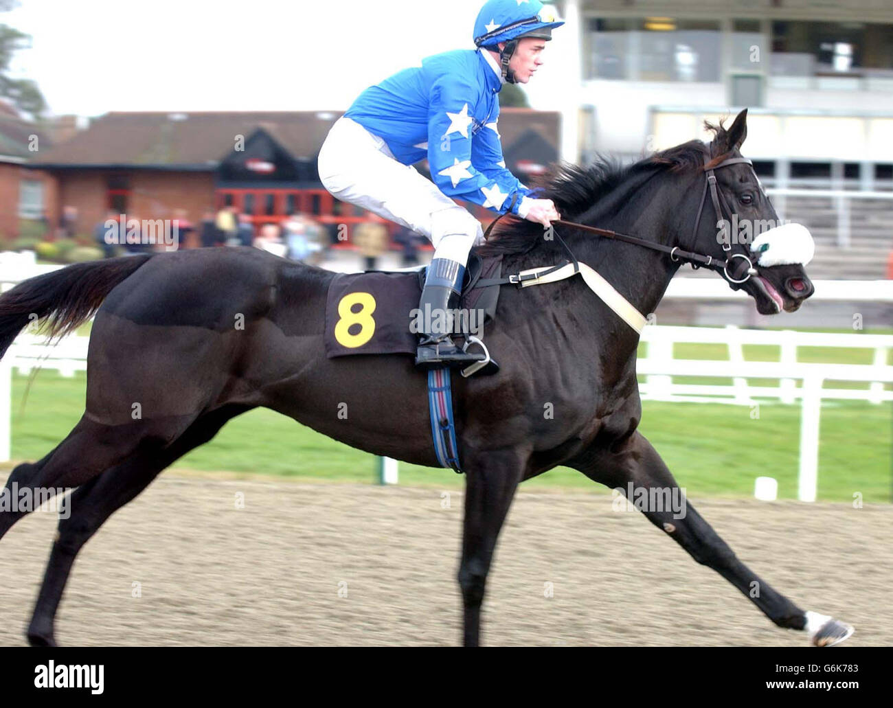 La landonne jockey jean guillambert hi-res stock photography and images ...