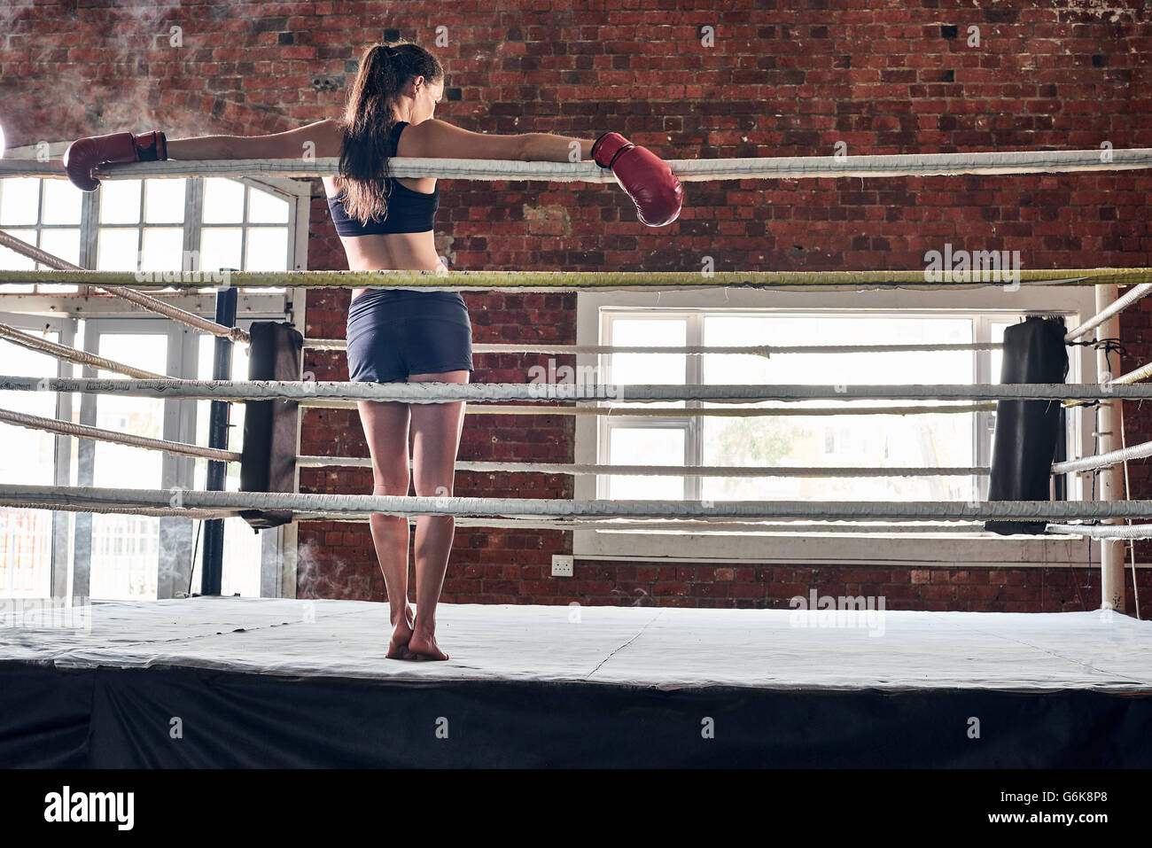 woman training gym boxing mma ring shadow boxing mixed martial arts ...