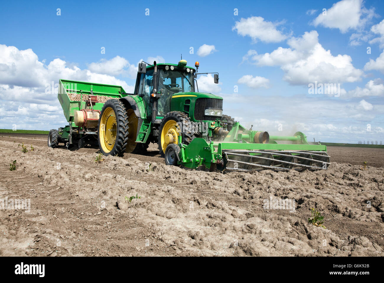 Farmer is planting dutch potatoes with his green tractor on his land ...