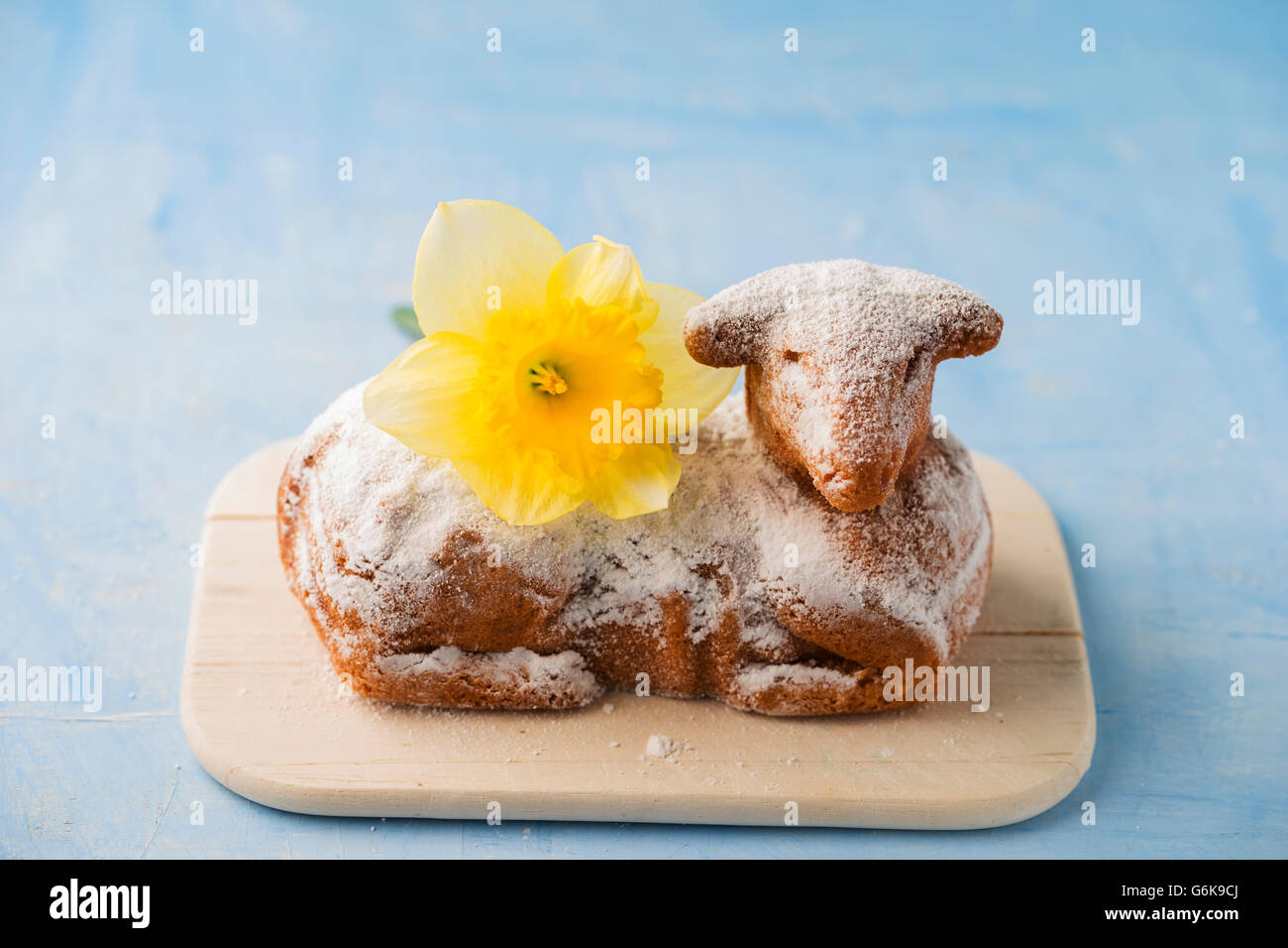 Lamb daffodil hi-res stock photography and images - Alamy