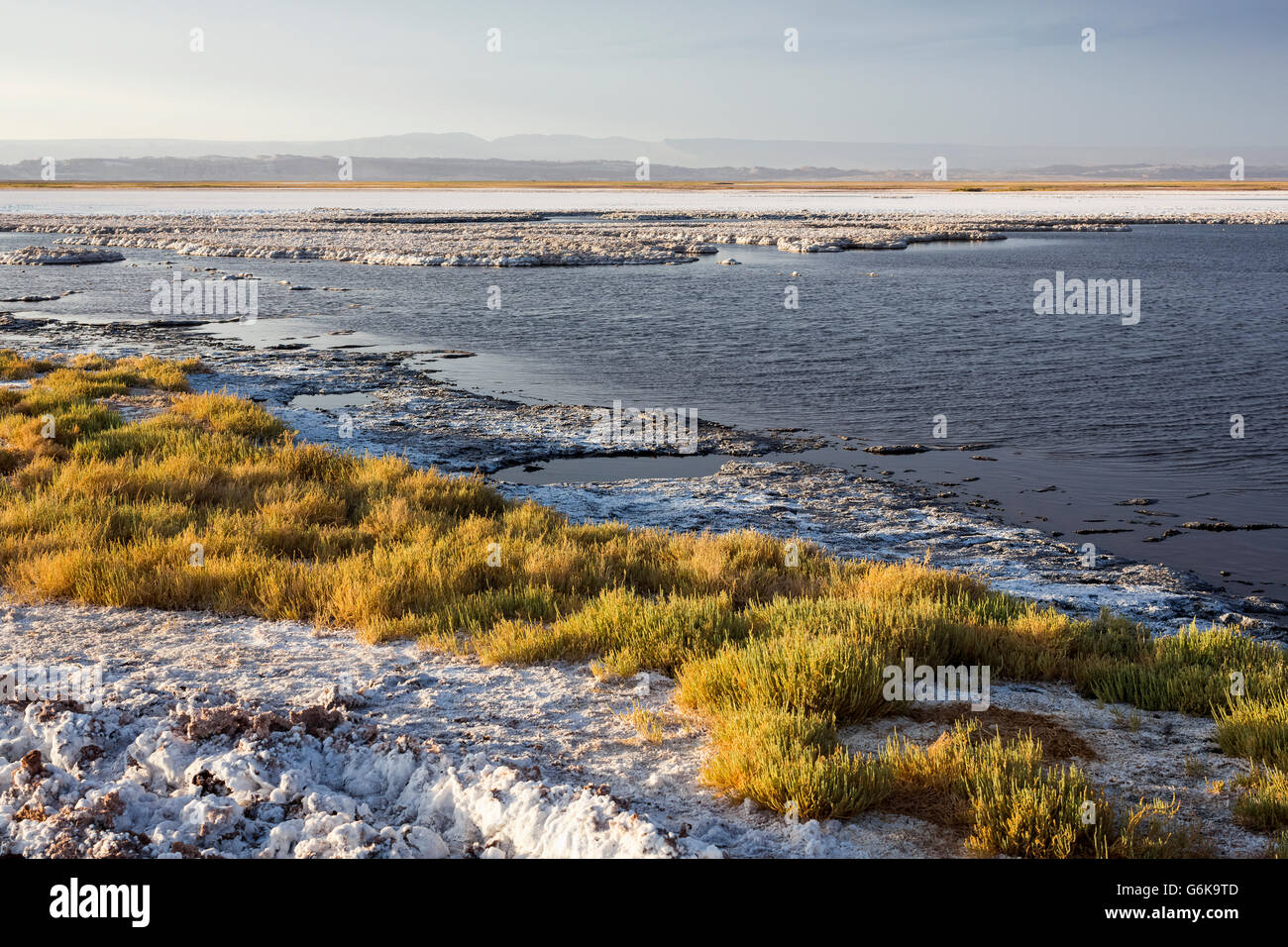 Chile, San Pedro de Atacama, lake in the desert Stock Photo - Alamy