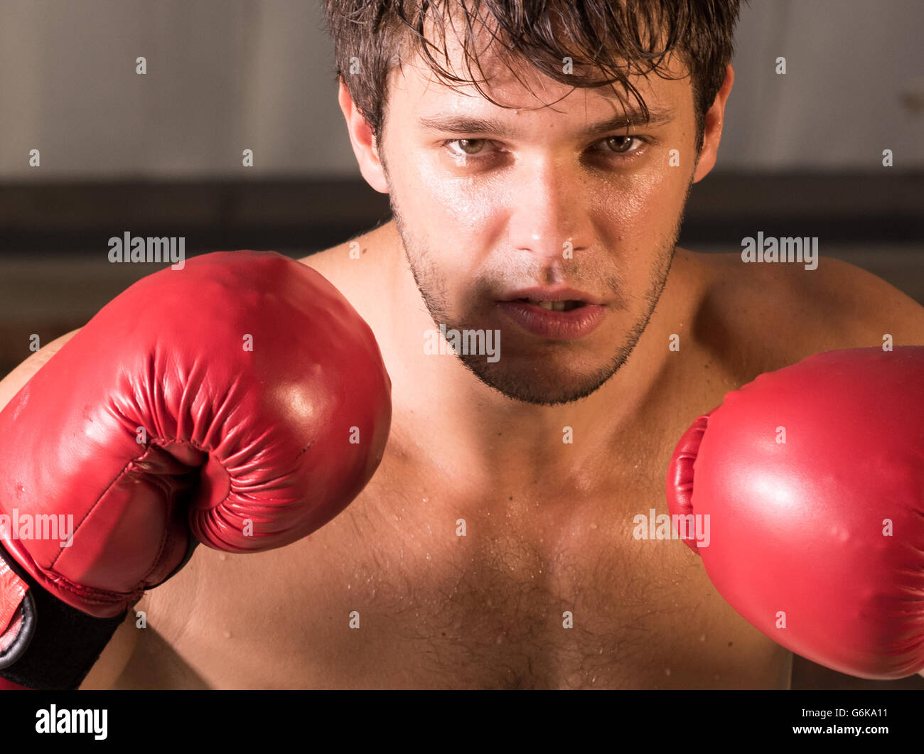 man training gym boxing mma ring shadow boxing mixed martial arts ...