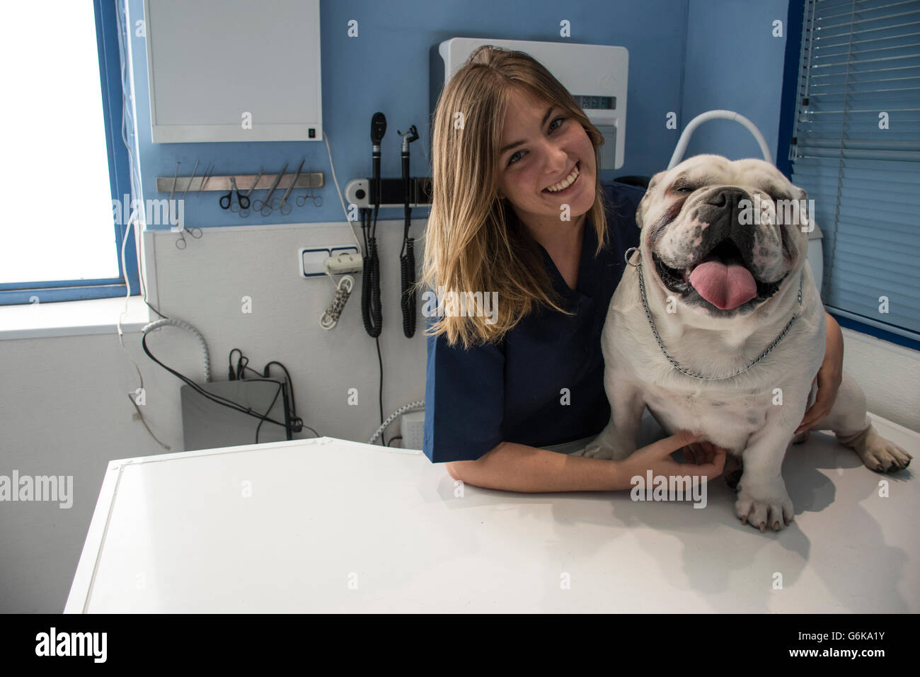 Portrait of smiling veterinarian with dog in a veterinary clinic Stock ...