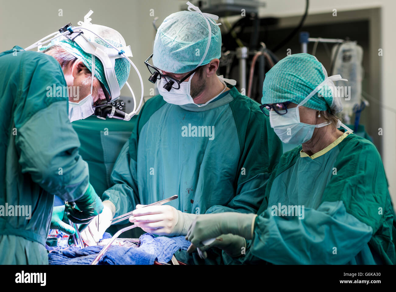 Heart surgeons and operating room nurse during a heart valve operation ...