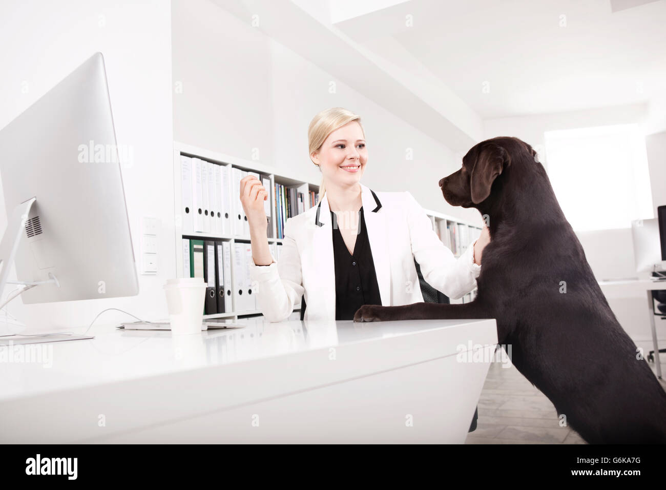 Business woman with her Labrador Retriever in the office Stock Photo ...