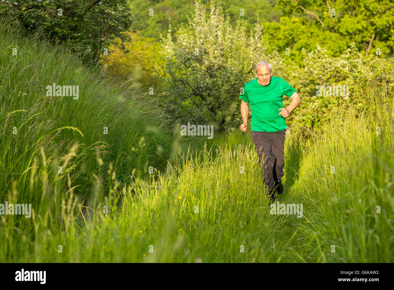 Senior man jogging on grass hi-res stock photography and images - Alamy