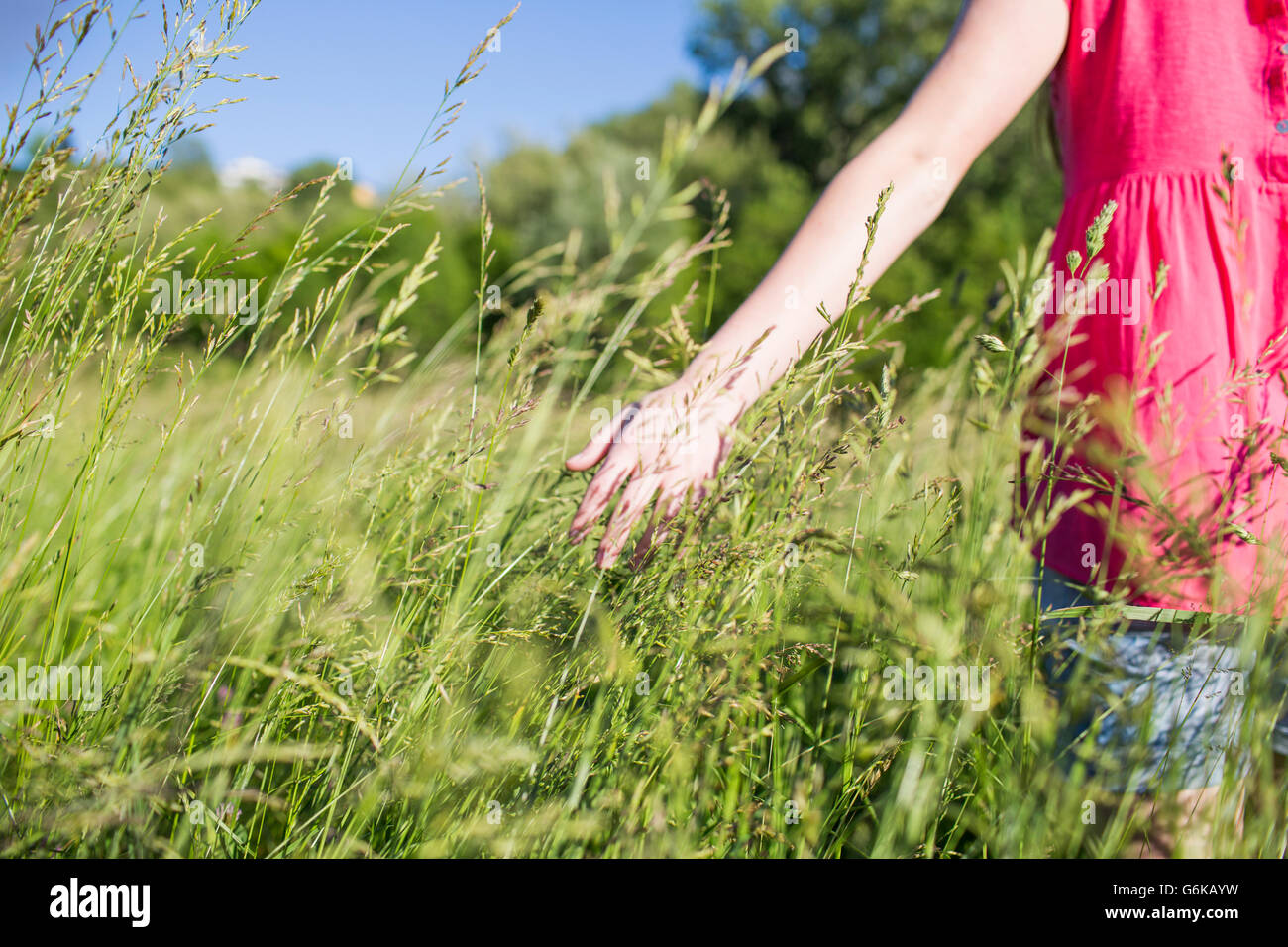 Hand of teenage girl touching grasses on a meadow Stock Photo - Alamy