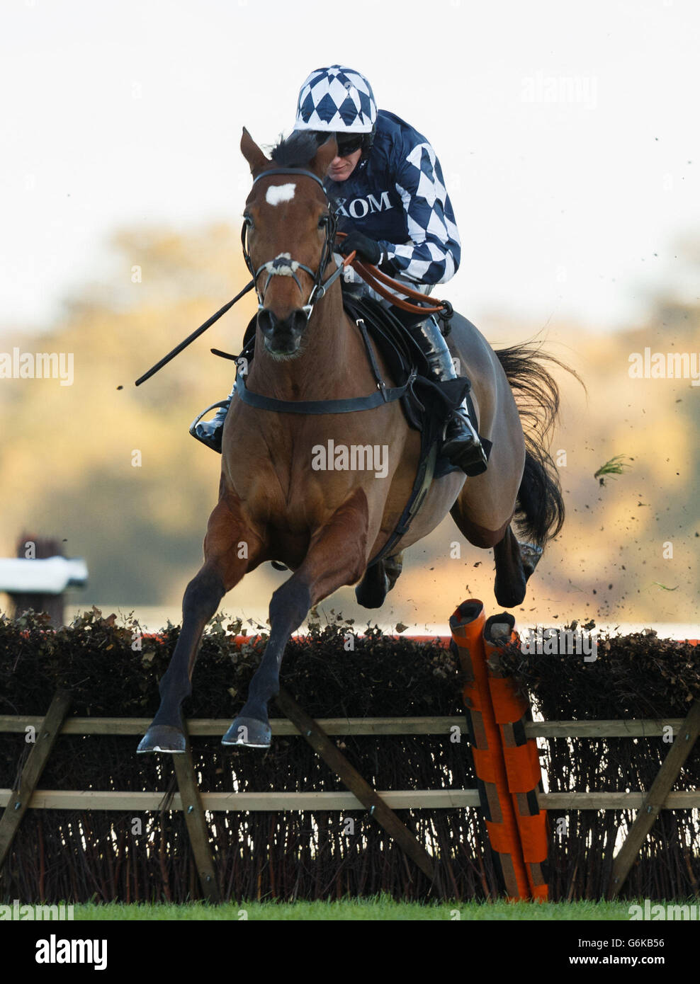 Nick irving hi-res stock photography and images - Alamy