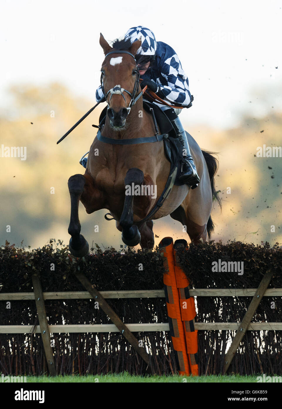 Nick irving hi-res stock photography and images - Alamy