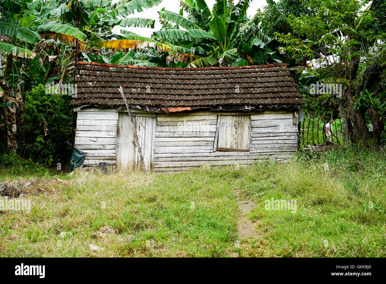Rickety old wooden shed hi-res stock photography and images - Alamy