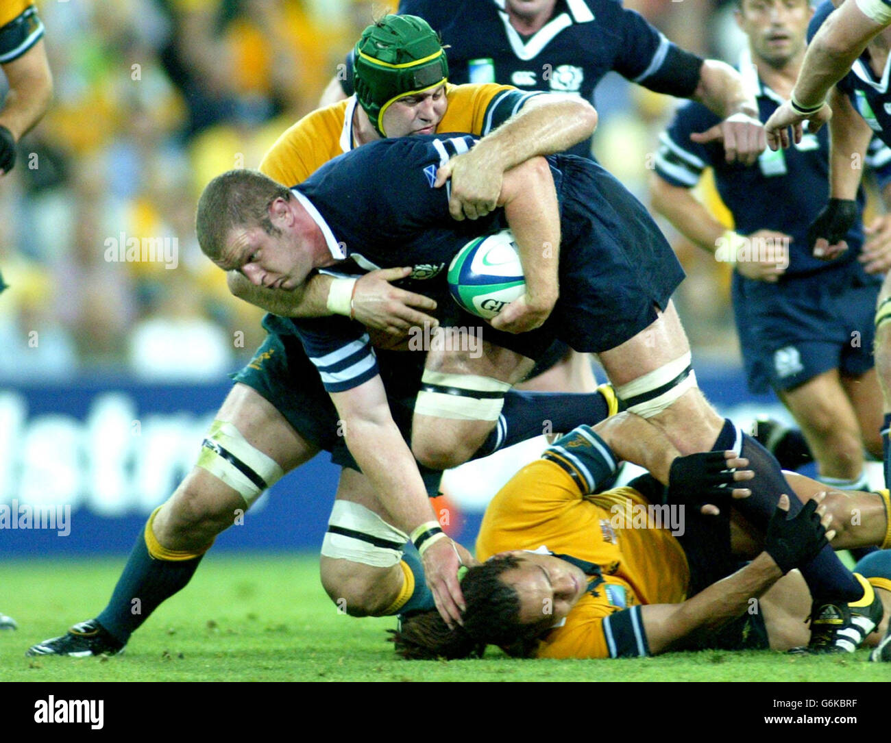 RWC Jason White Australia beat Scotland Stock Photo - Alamy