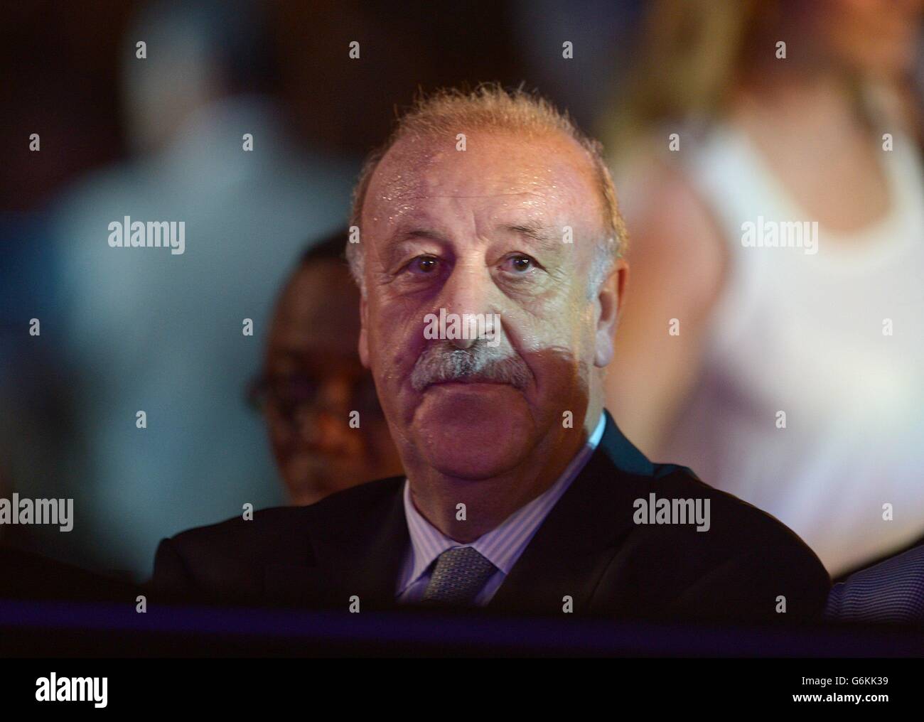 Spain manager Vicente del Bosque during the FIFA 2014 World Cup Draw at ...