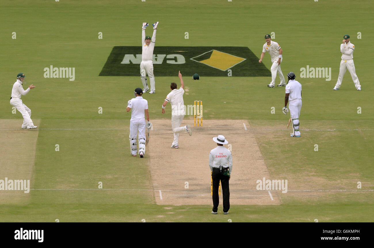 Peter siddle adelaide hi-res stock photography and images - Alamy