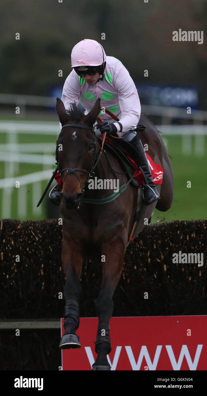 Horse Racing - Durkan Chase Day - Punchestown Racecourse Stock Photo ...