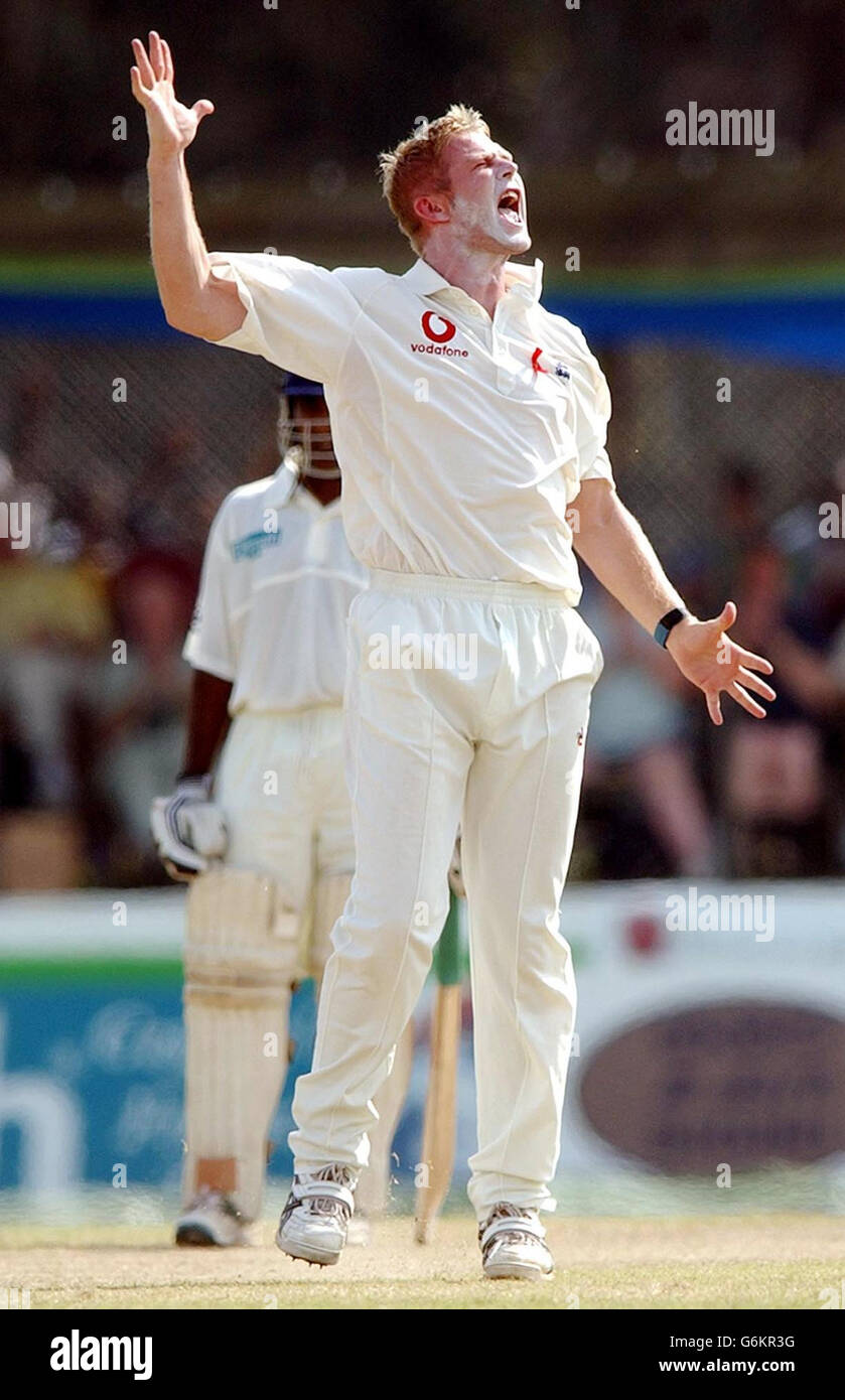 Sport cricket celebrating matthew hoggard hi-res stock photography and ...