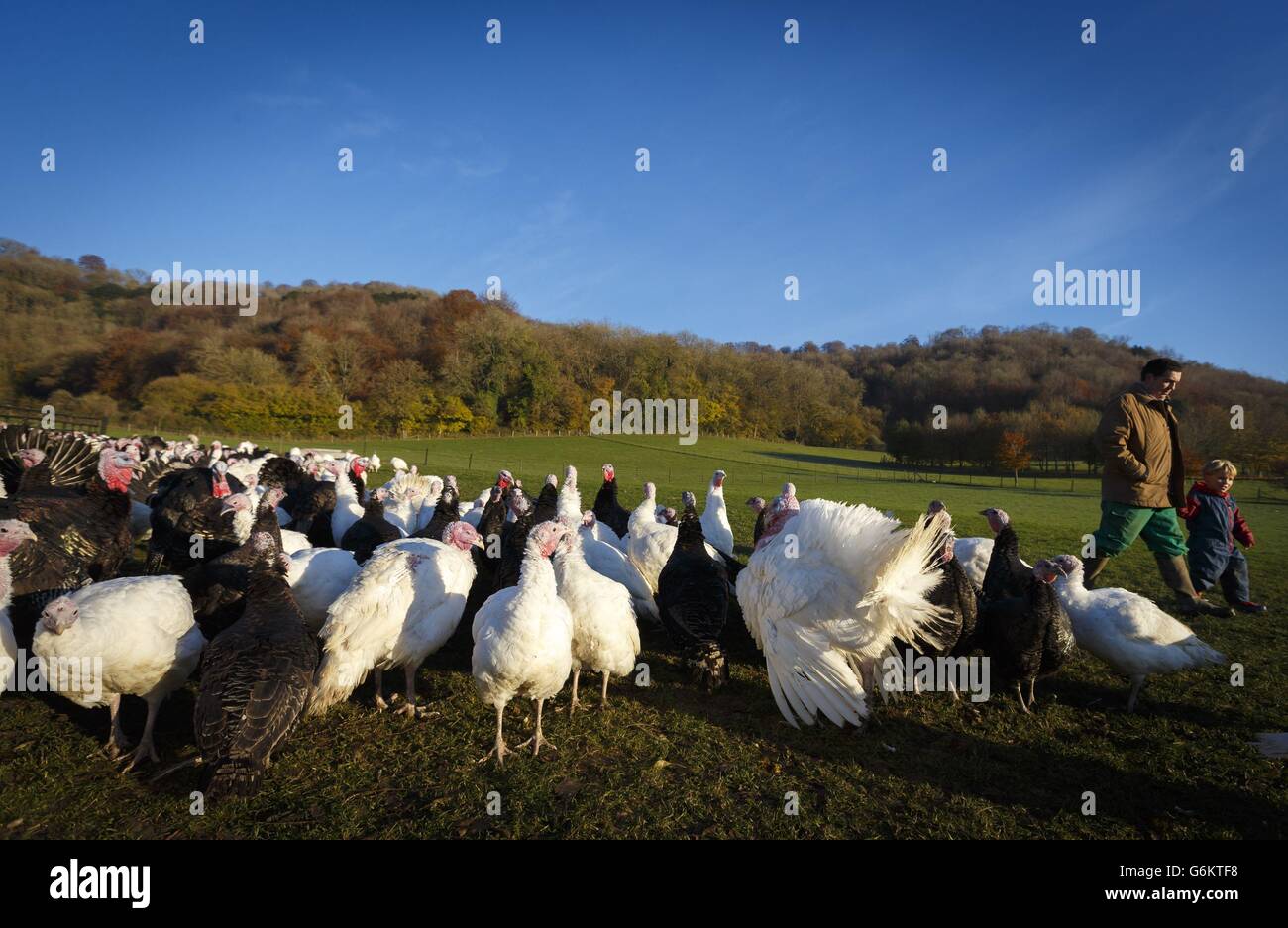 Farmer simon bridger and his son harry hi-res stock photography and ...