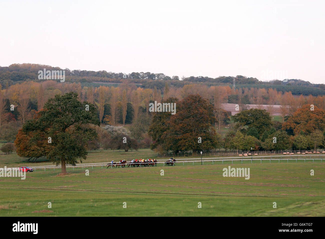 Towcester Horses High Resolution Stock Photography and Images - Alamy