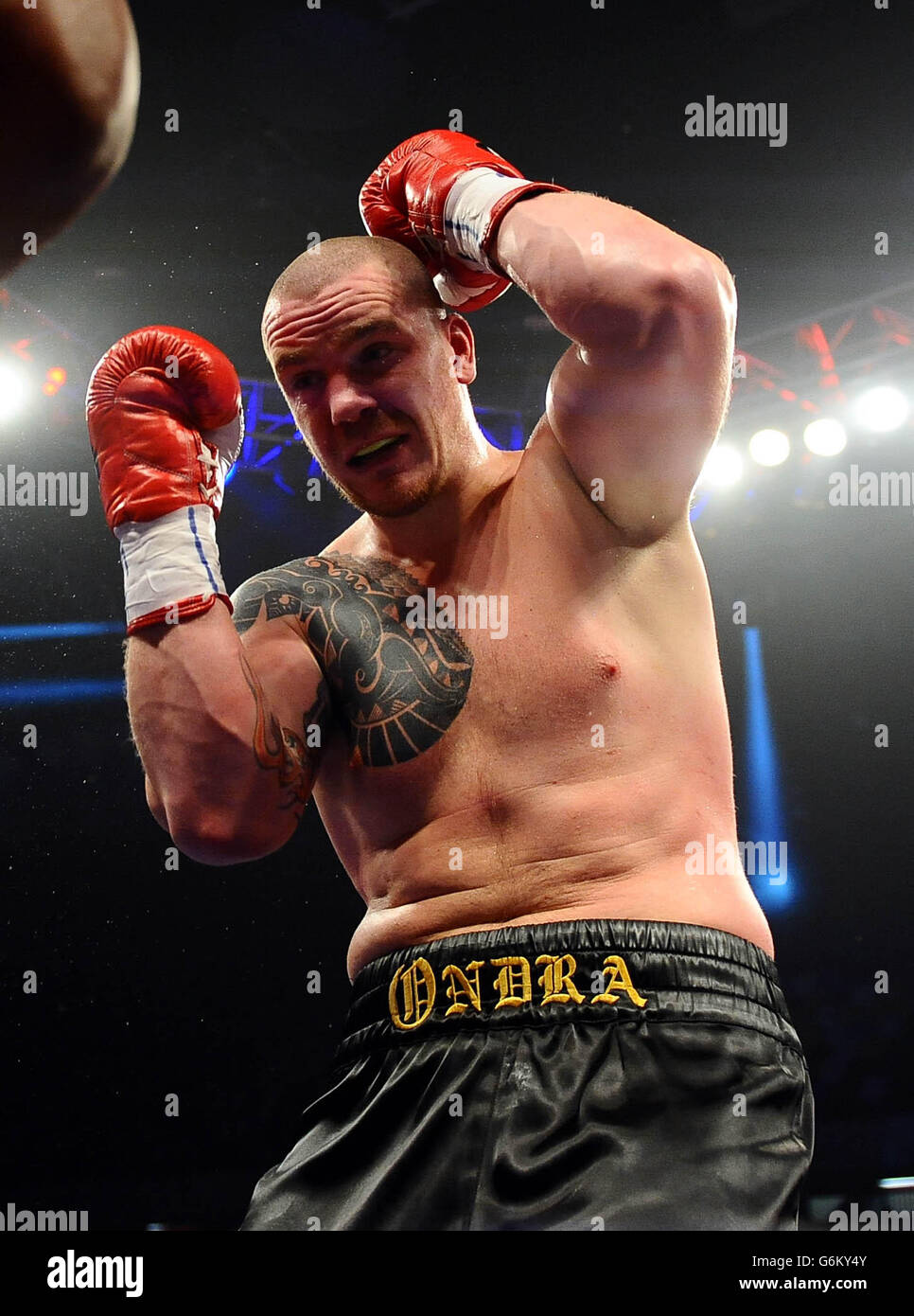 Wbo international heavyweight title and vacant wba international ...