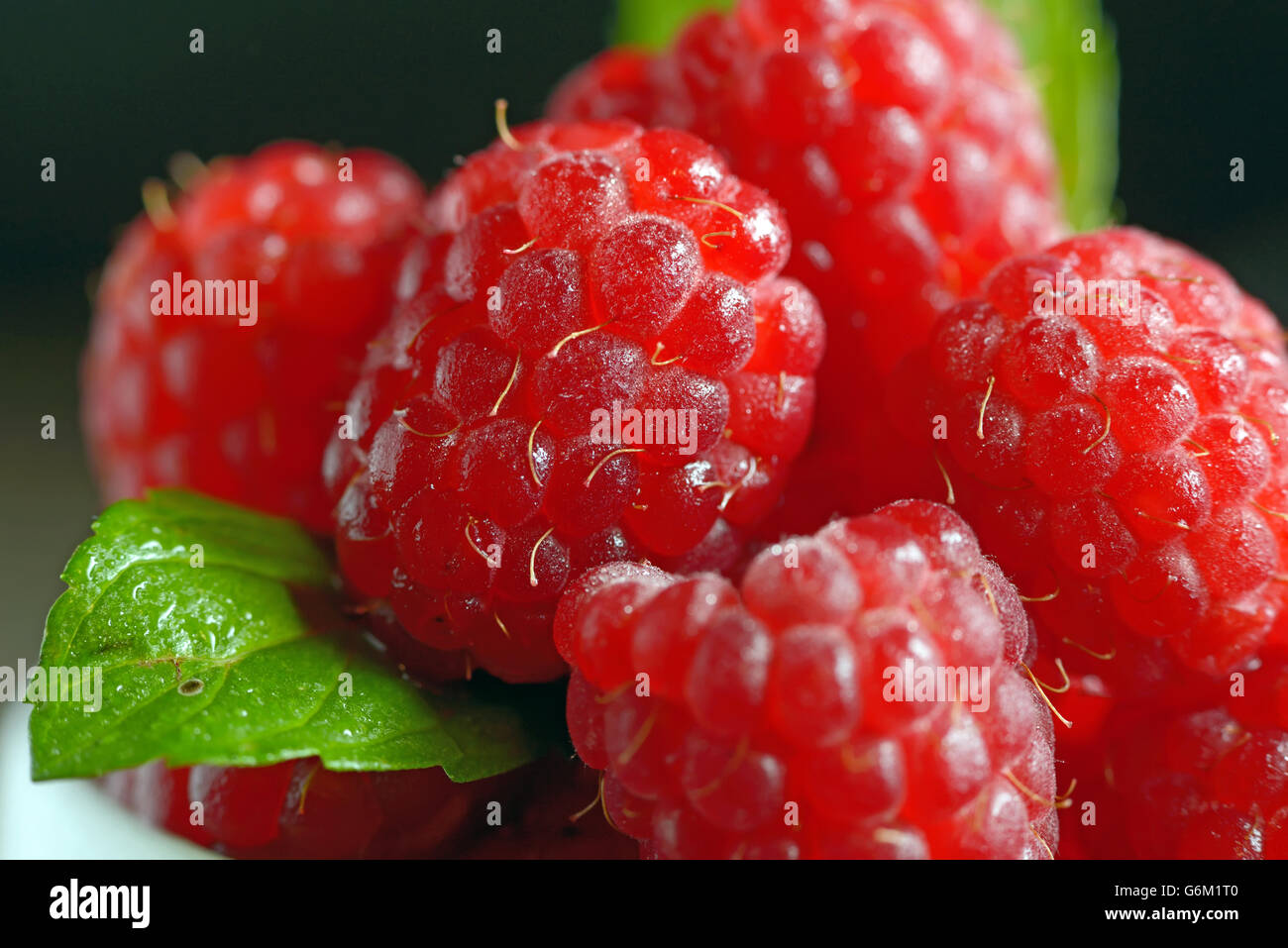Wild raspberry in ceramic bowl and mint leaves Stock Photo - Alamy