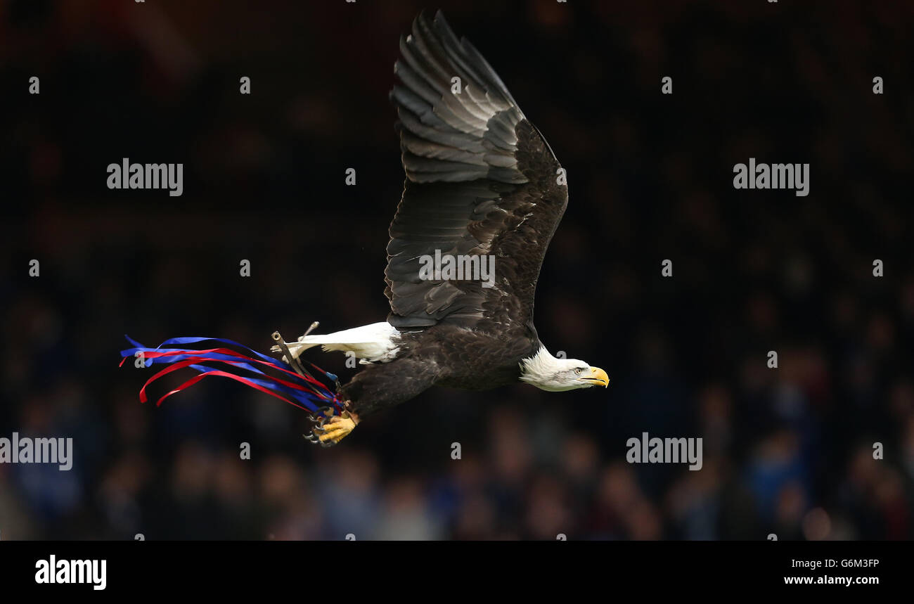 Crystal palace kayla eagle barclays premier league match selhurst park ...