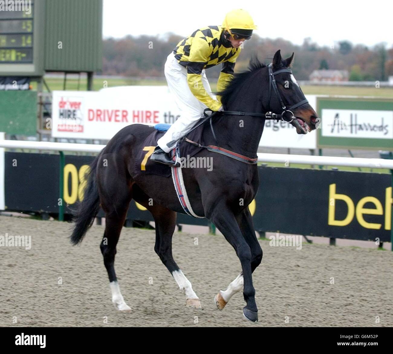 Mr Bountiful with jockey Shane Kelly Stock Photo - Alamy