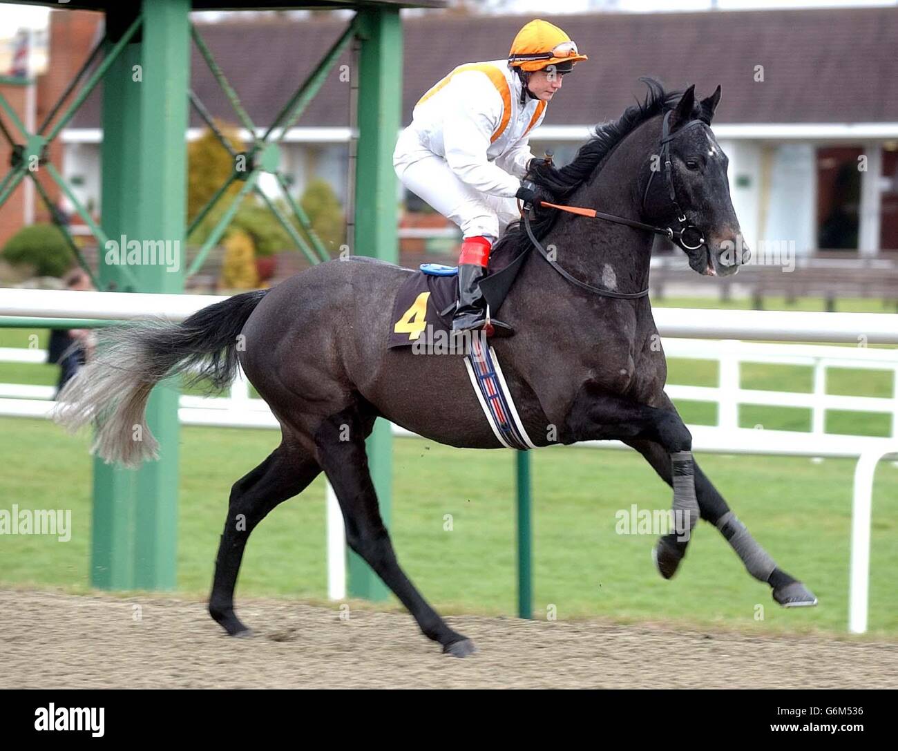 Callan Park High Resolution Stock Photography and Images - Alamy