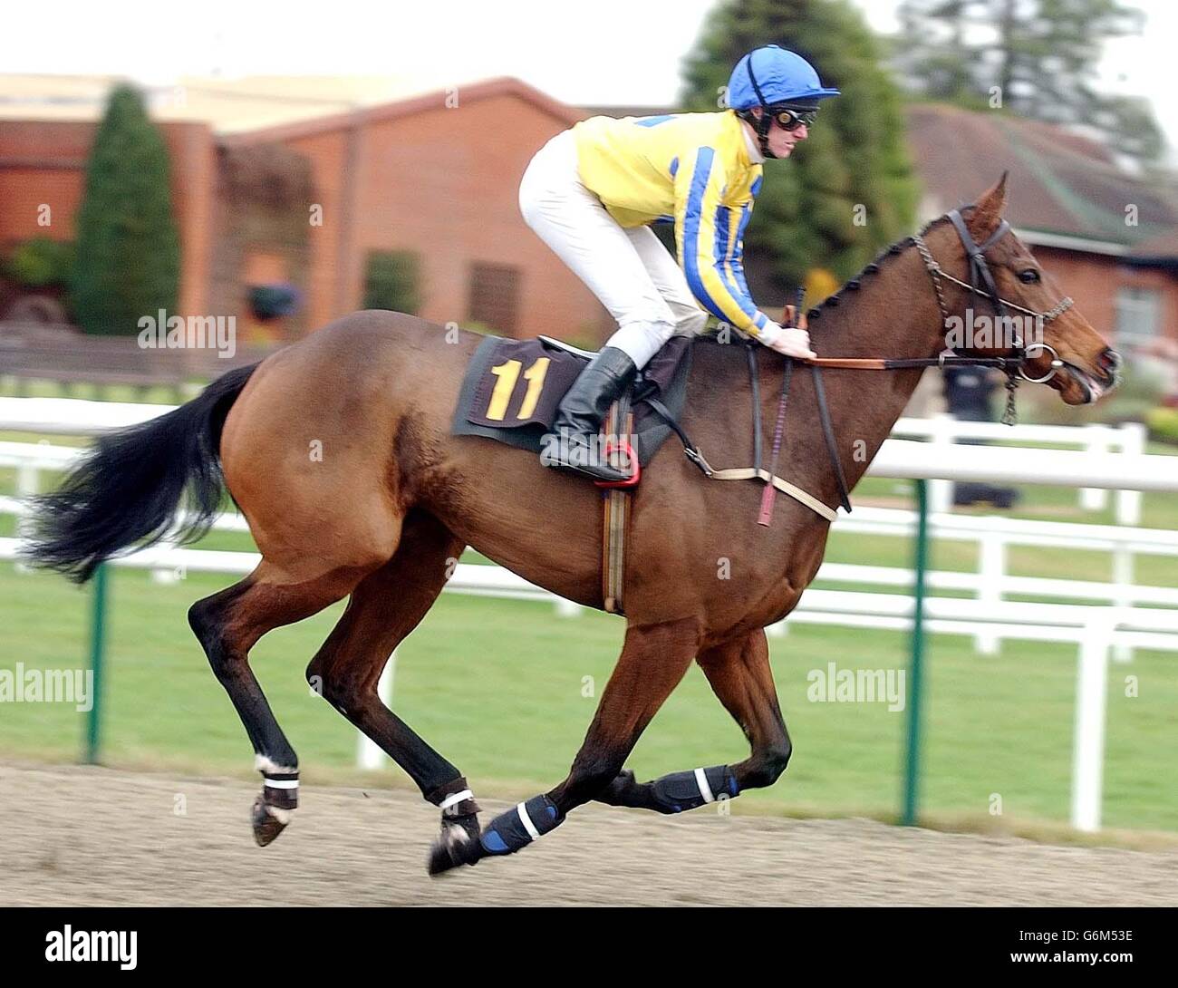 Seejay with jockey Steve Carson Stock Photo - Alamy