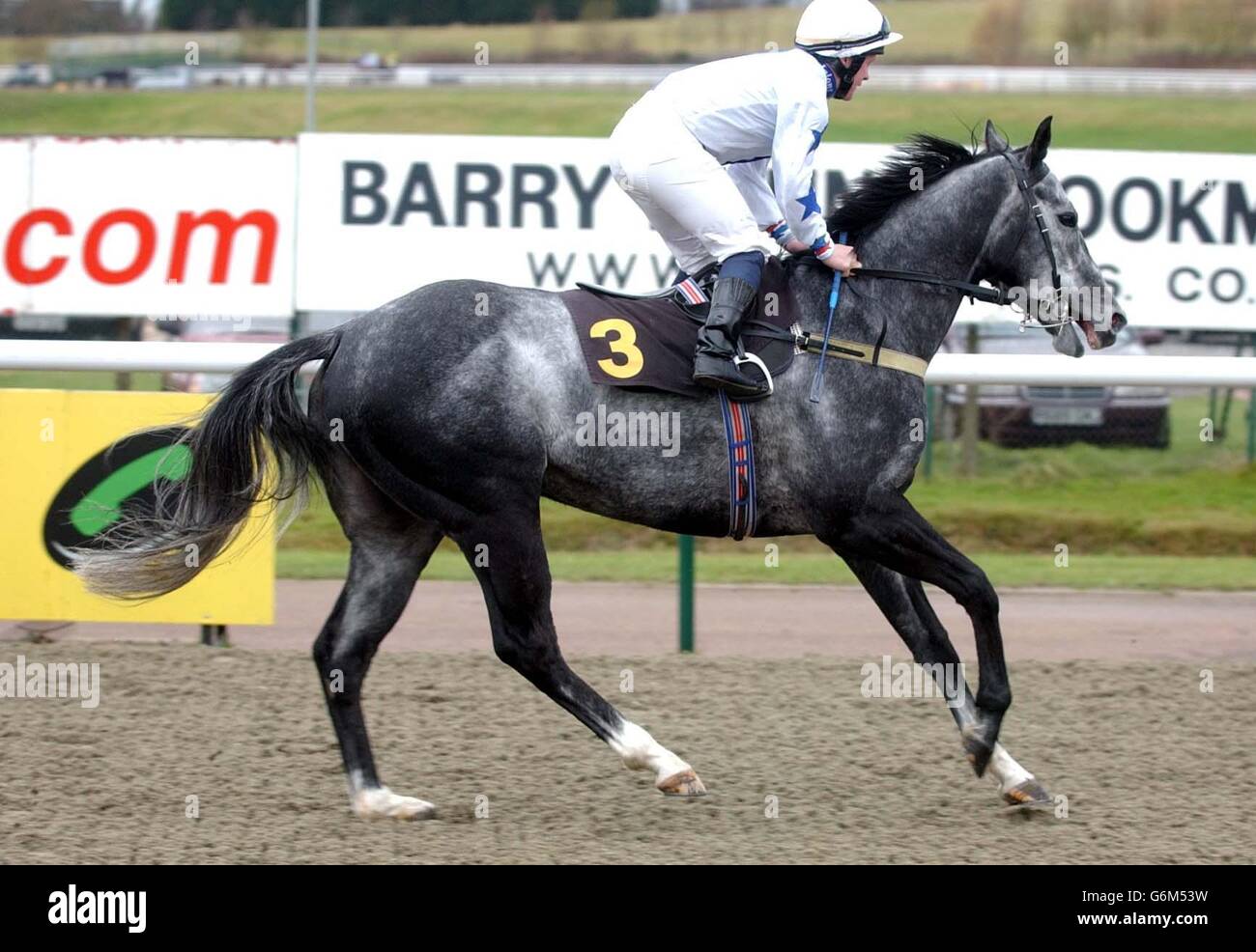 Byo with jockey Simon Hitchcott. Byo with jockey Simon Hitchcott, at ...