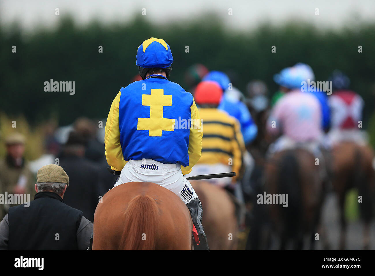 Horse Racing - Southwell Racecourse. Rear view of Jockey Tom O'Brien ...