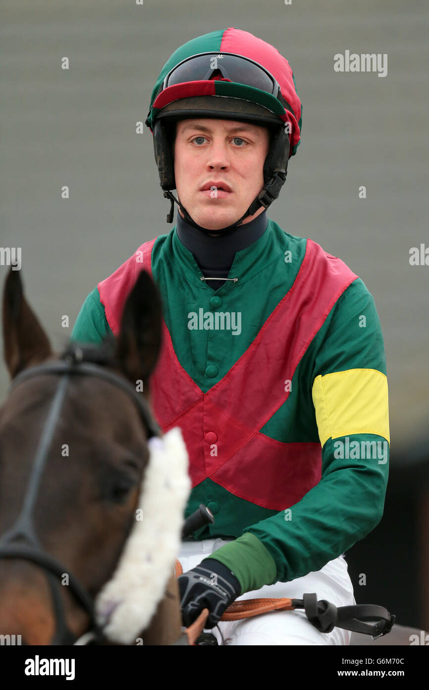 Messenger horse hi-res stock photography and images - Alamy