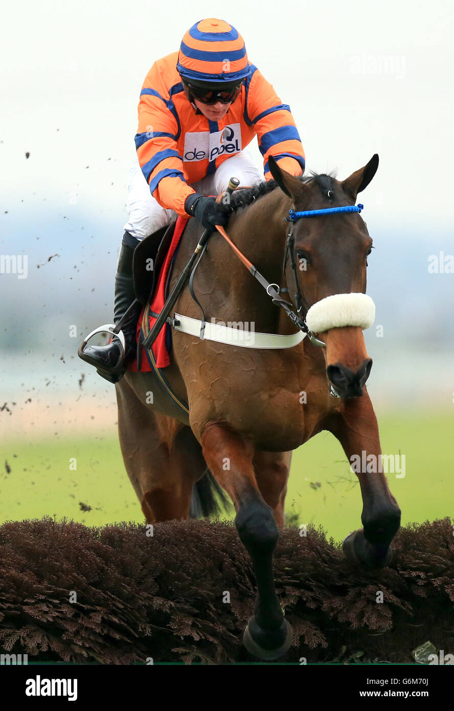 Henry brooke on ziggie jumps hedge red hi-res stock photography and ...