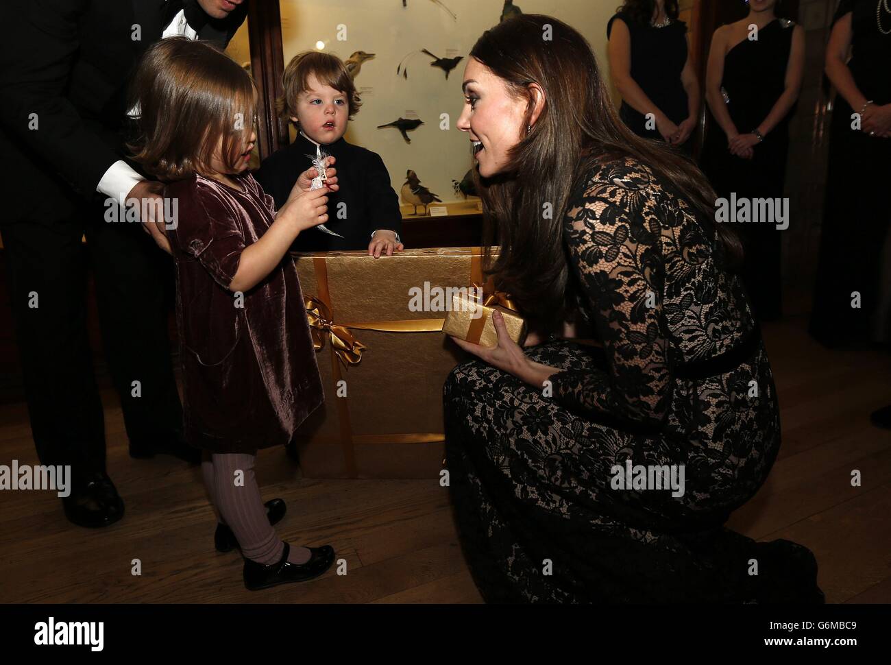 Natural History Museum Alive 3D - London Stock Photo - Alamy