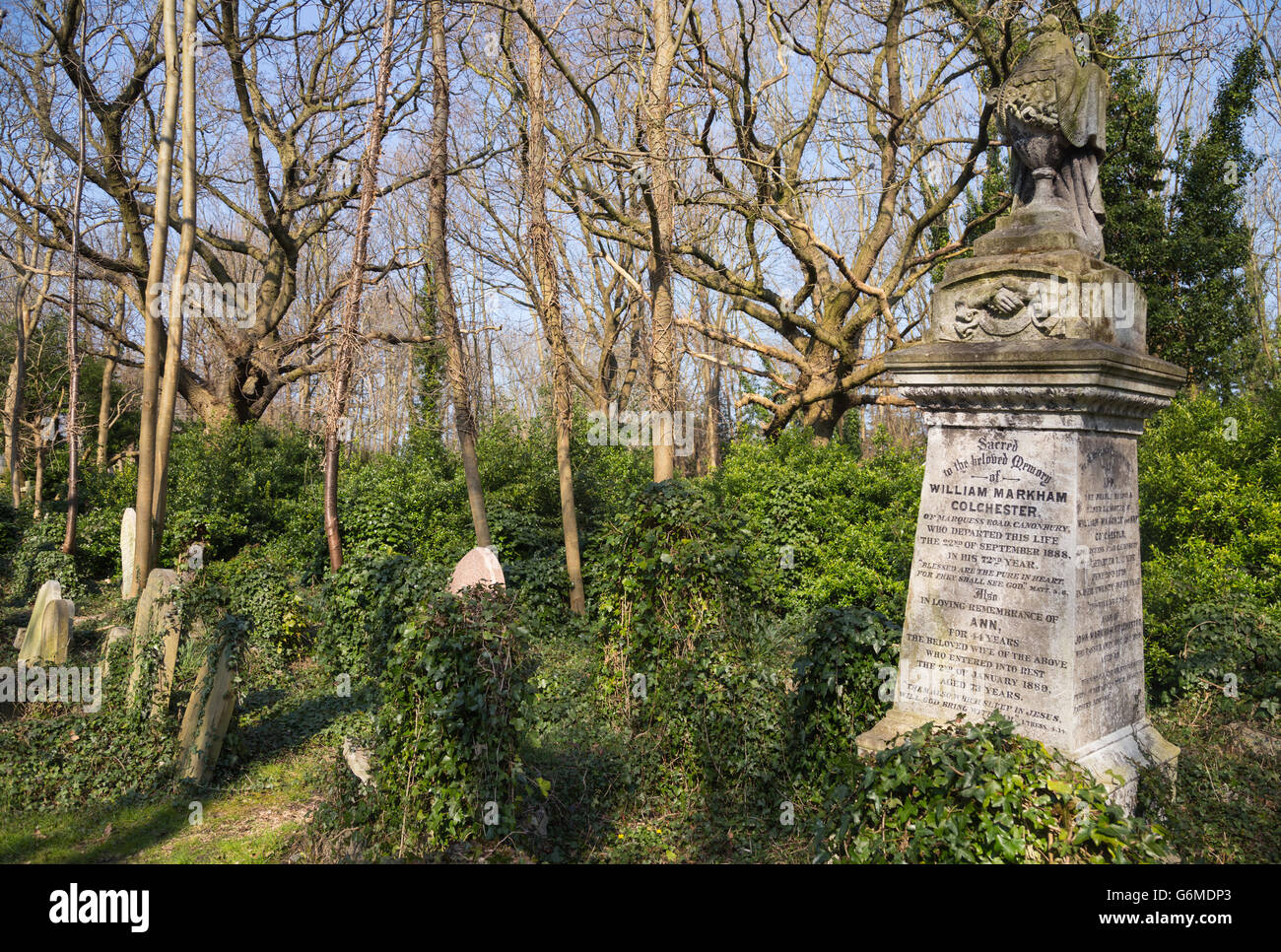 gravestones covered in ivy with Victorian period on a sunny spring ...