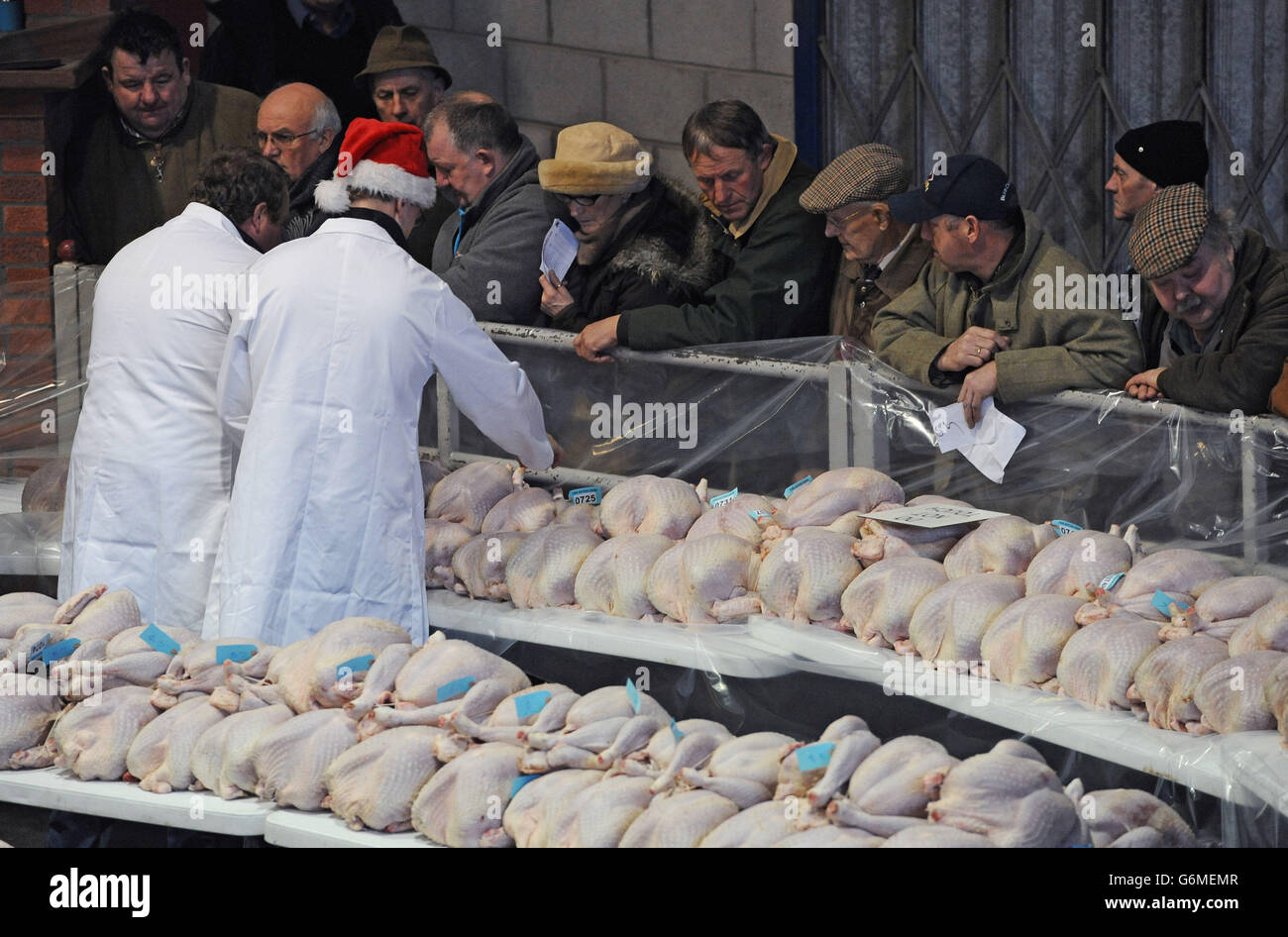 The auction christmas poultry including geese hi-res stock photography ...