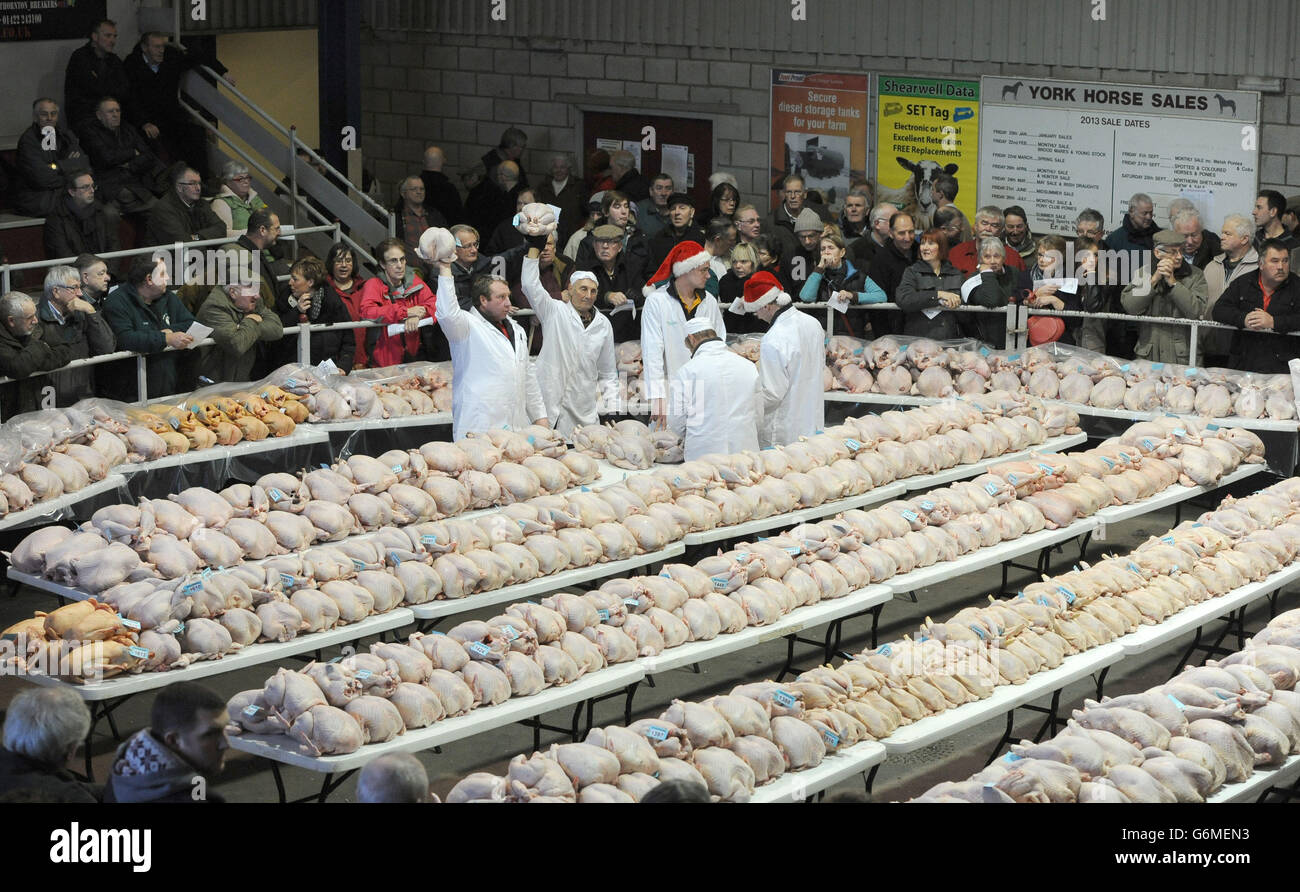 Christmas poultry auction hi-res stock photography and images - Alamy