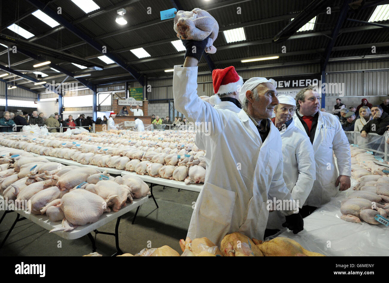 The auction of Christmas poultry including geese, turkeys, chickens ...