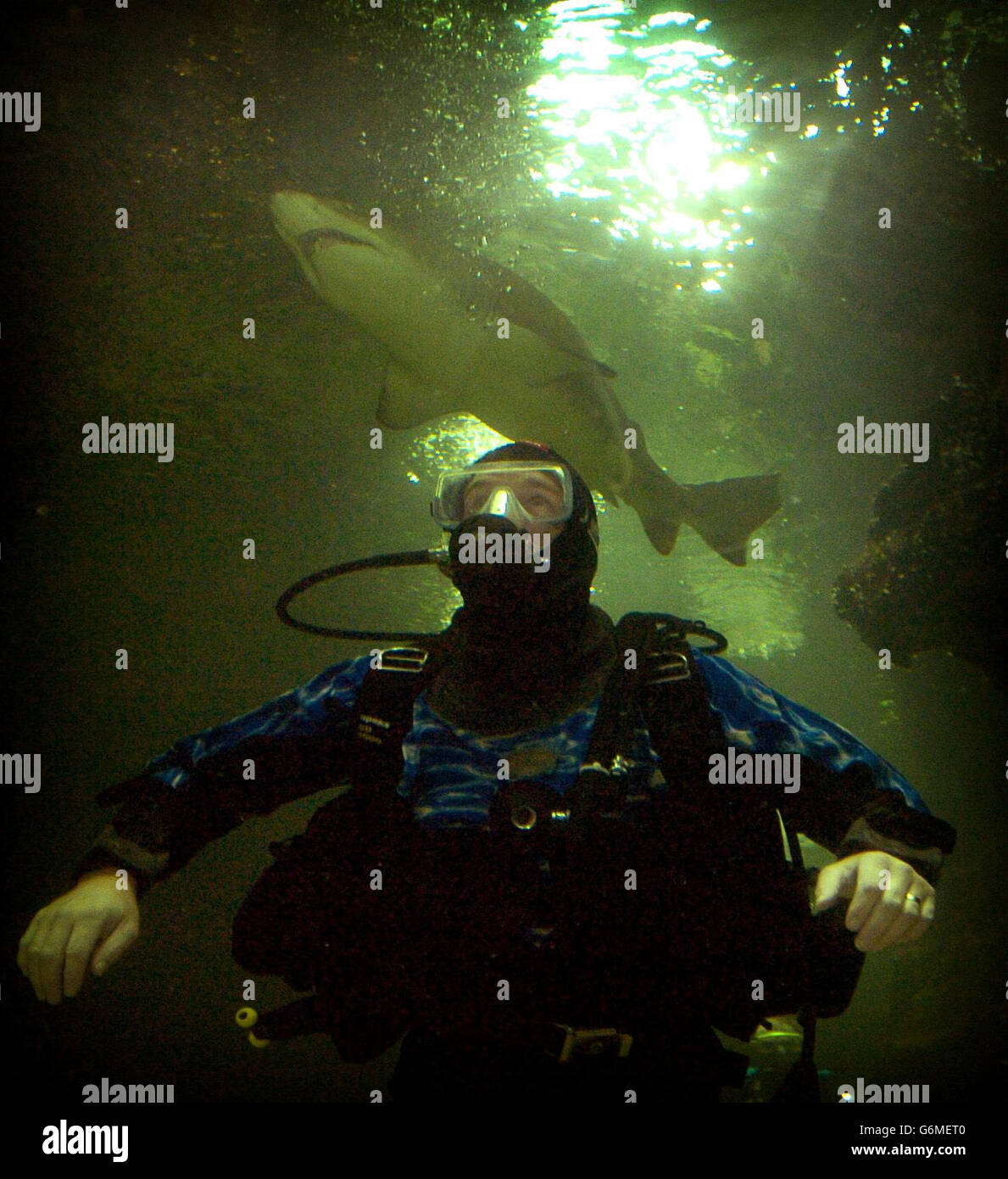 Jim Duffy High Resolution Stock Photography and Images - Alamy