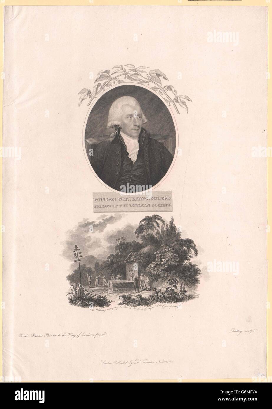 William withering hi-res stock photography and images - Alamy