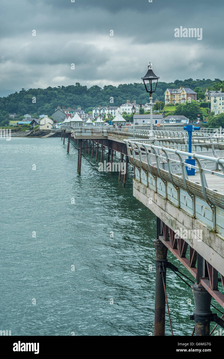 Are Dogs Allowed On Bangor Pier