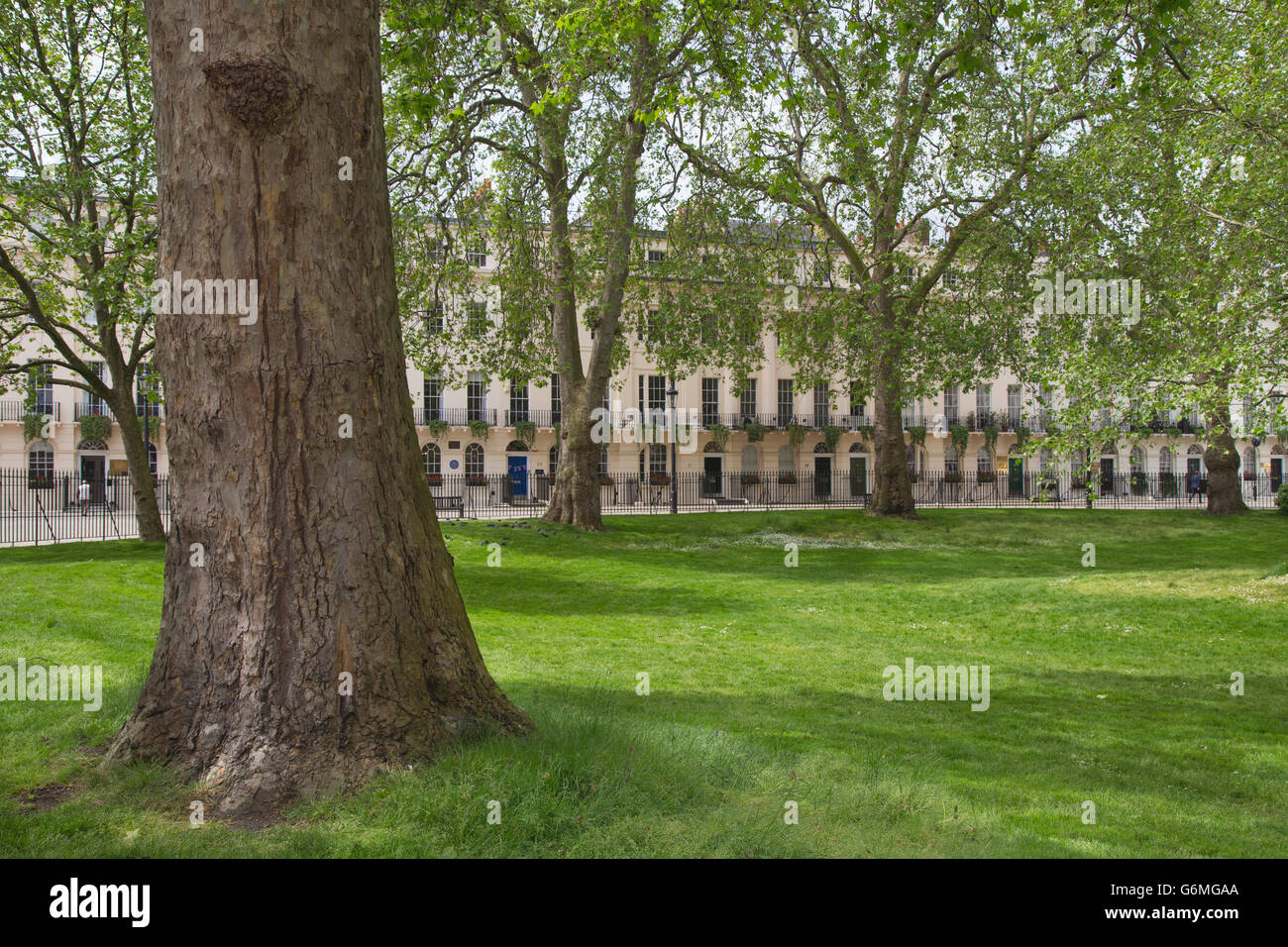 Fitzroy Square Garden in Fitzrovia, London W1, on a sunny summer day ...