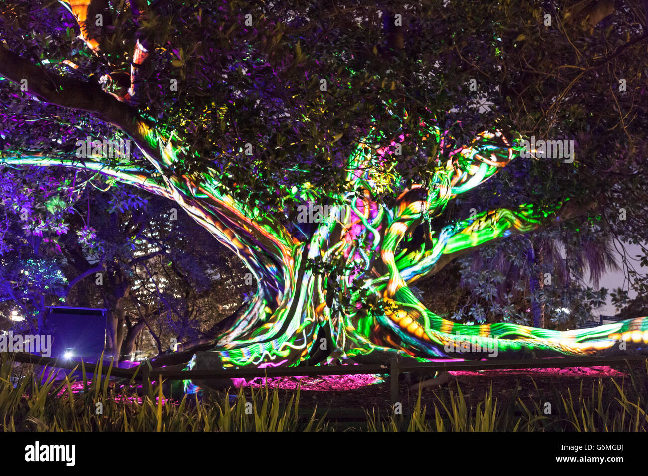 Sydney's Botanic Gardens during Vivid Sydney 2016 Stock Photo - Alamy