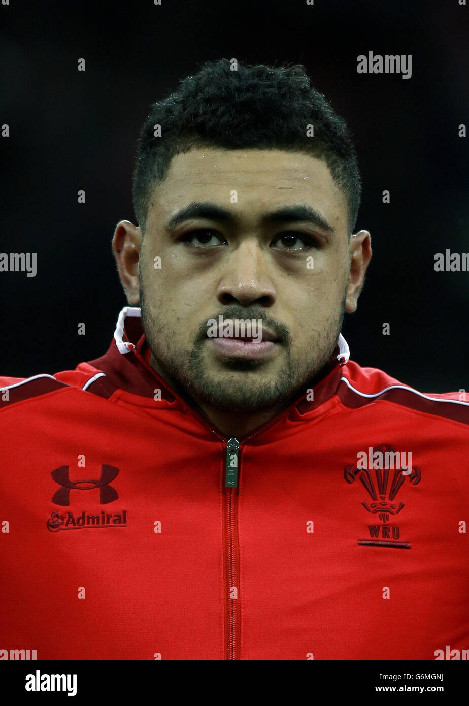 Wales toby faletau hi-res stock photography and images - Alamy