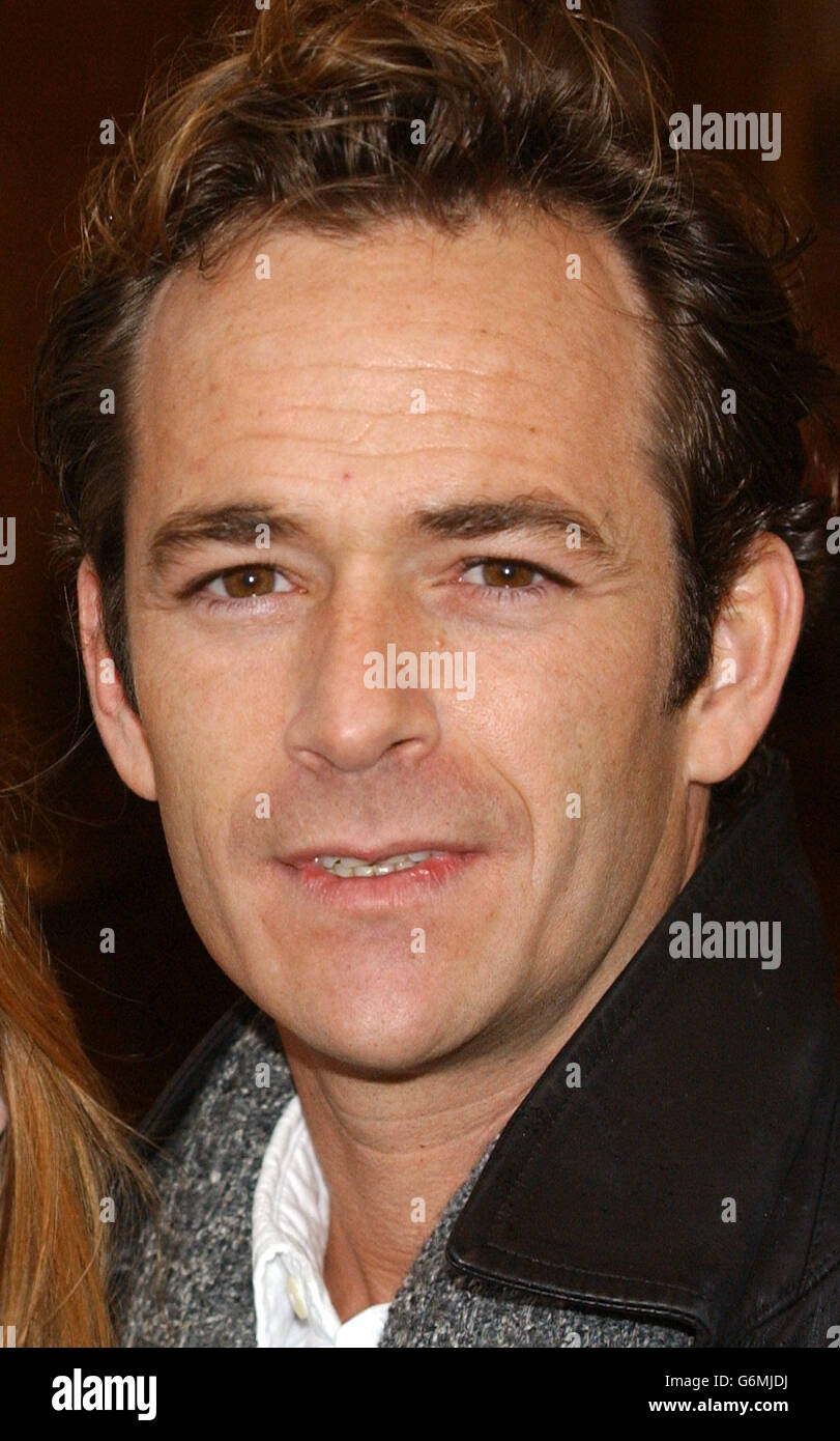 Actor Luke Perry poses for photographers during a photocall and press ...
