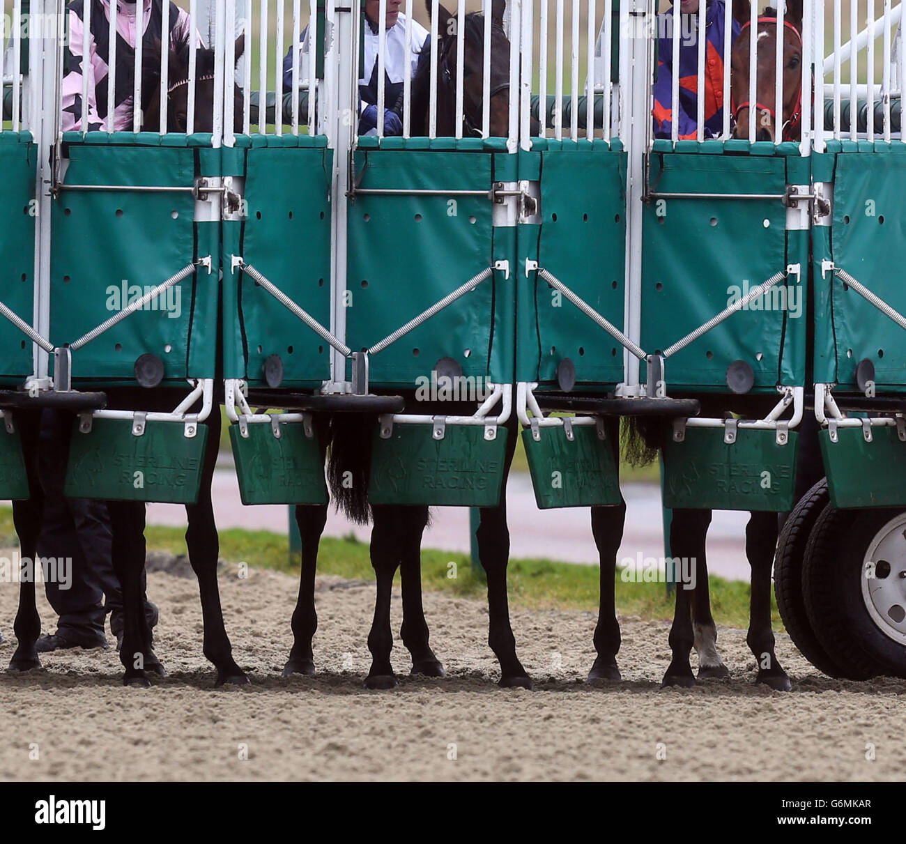 Horse Racing - Lingfield Park Racecourse Stock Photo - Alamy