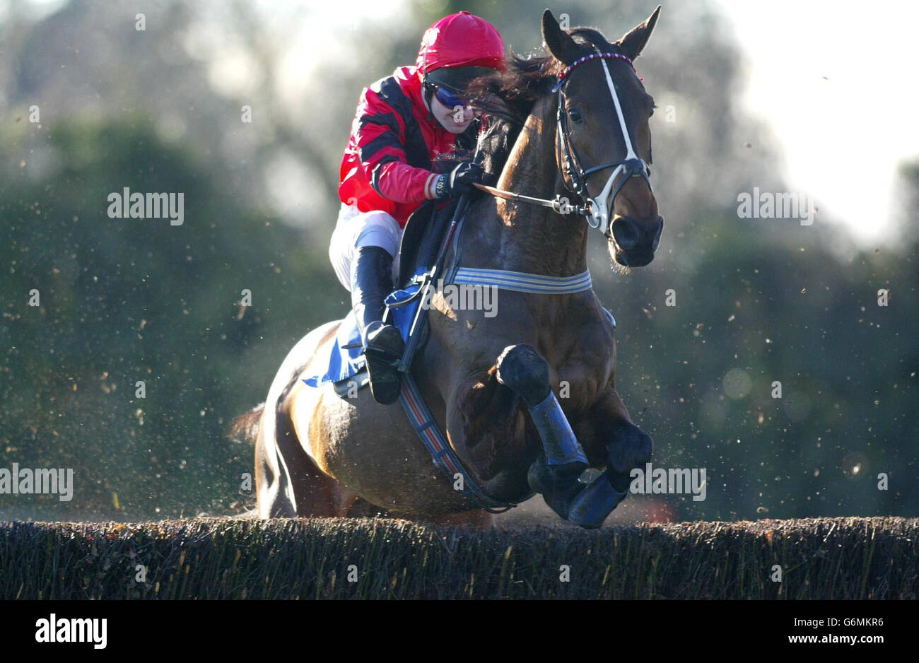 JP McNamara, on Colonel Frank, on the way to winning the Crown Racing ...