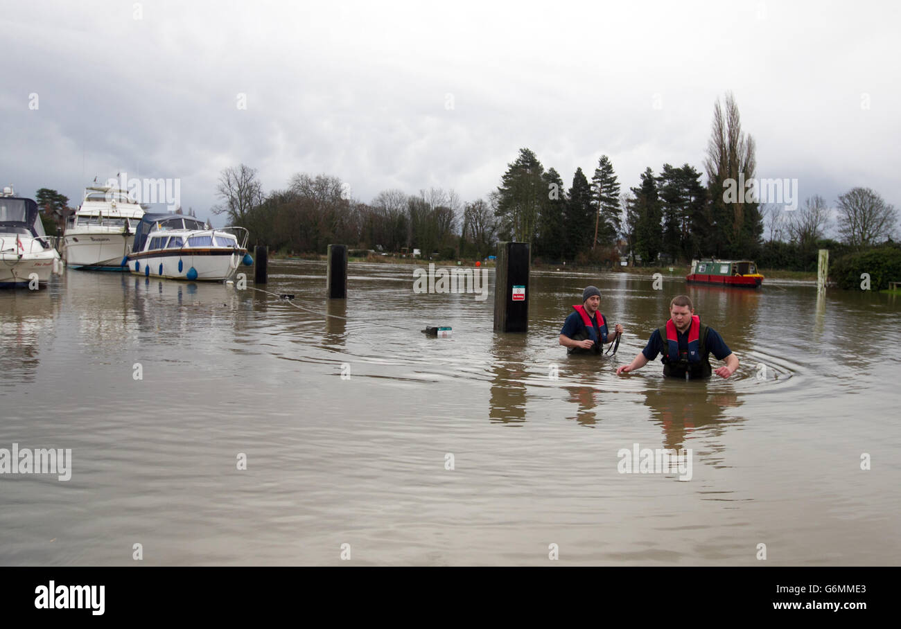 Jan lewis hi-res stock photography and images - Alamy