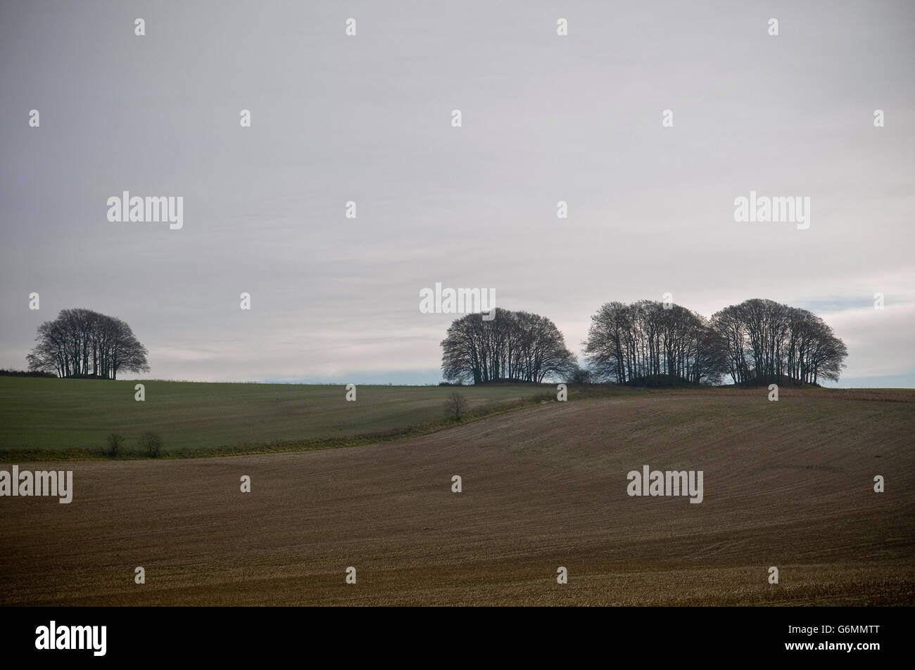 Bronze Age barrows on Overton Hill near Avebury, Wiltshire, UK Stock ...