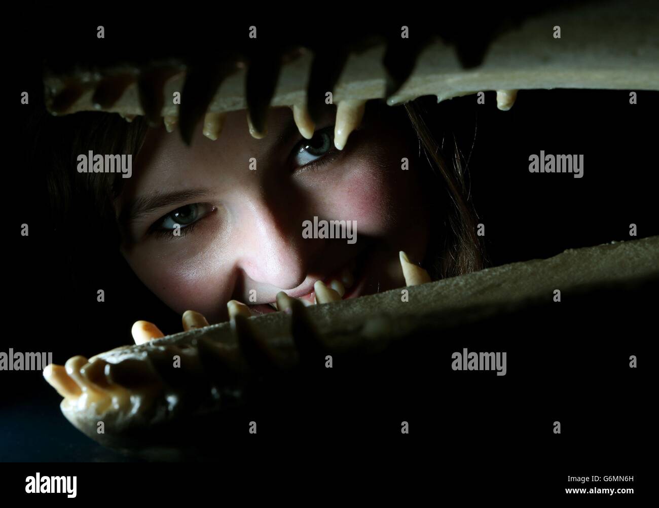 Karen Parker, from Kilarney, Co. Kerry, looks through the skull of a ...